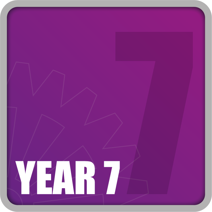 Year 7