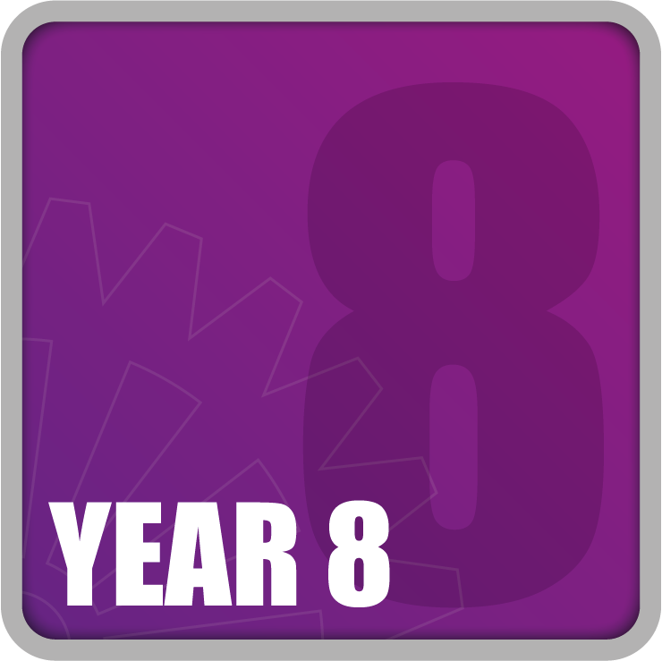 Year 8