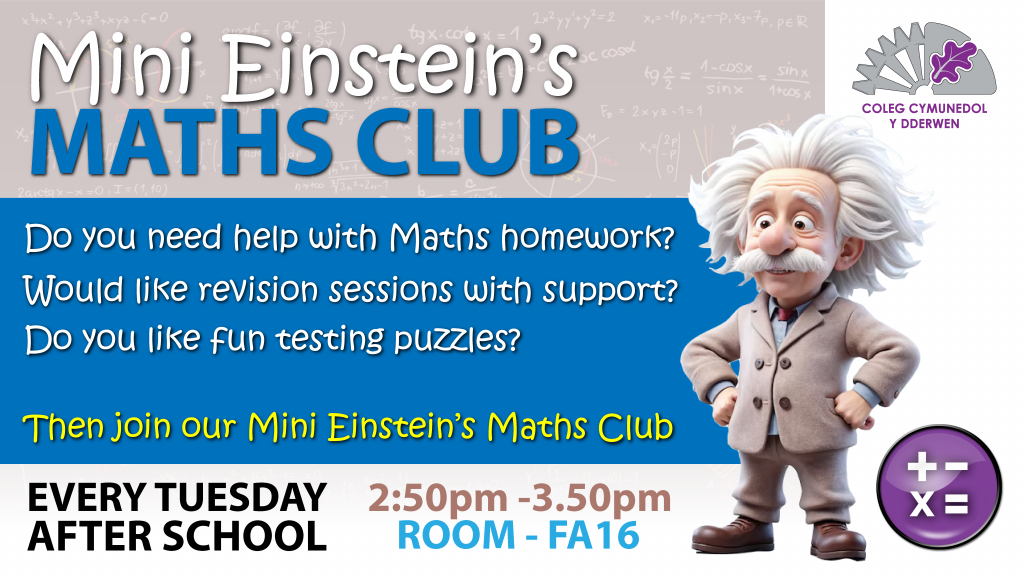 Mini Einstein’s Maths Club